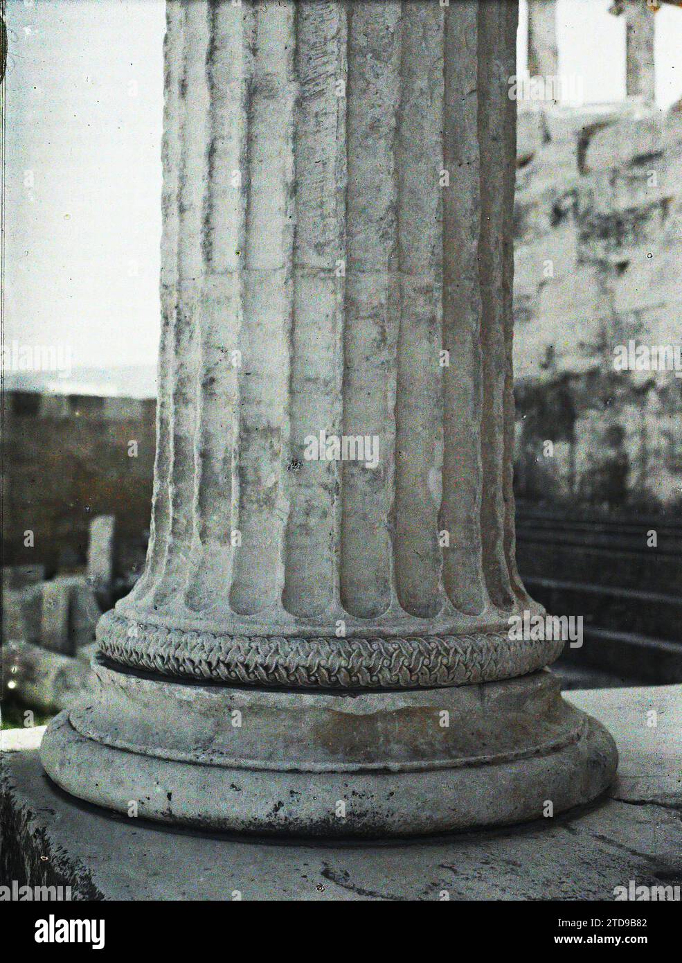Atene, Grecia sull'Acropoli, base di una colonna dell'Eretteo, Habitat ...