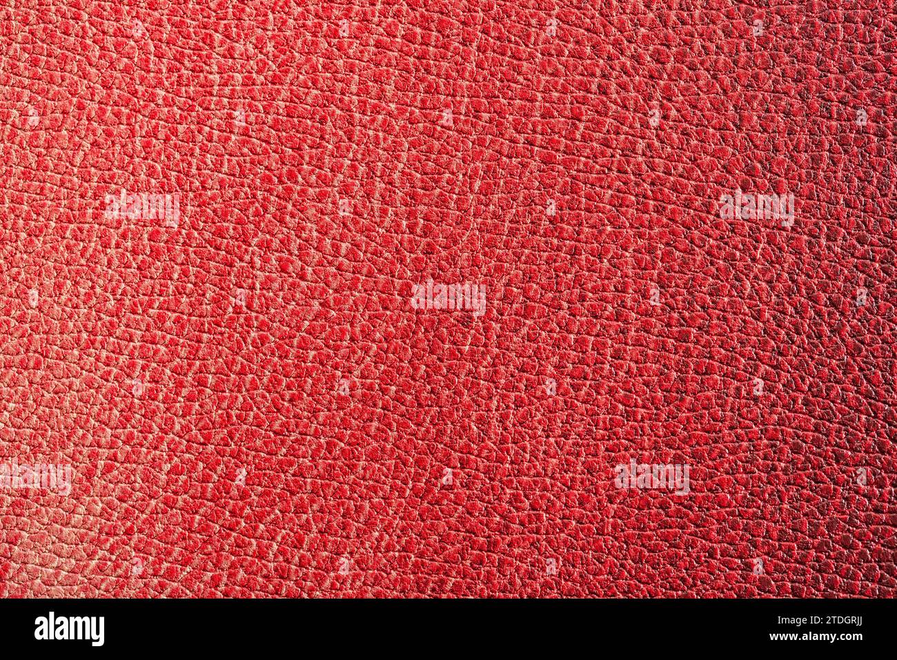 Imitare la pelle immagini e fotografie stock ad alta risoluzione - Alamy