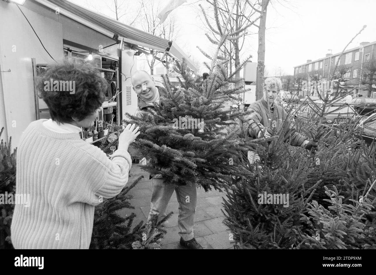 Jaap Kok, vendite albero di Natale, 09-12-1993, Whizgle News from the ...