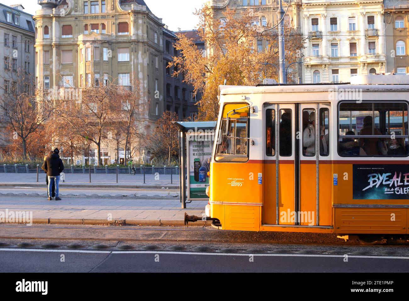 Tram a una fermata del tram immagini e fotografie stock ad alta ...