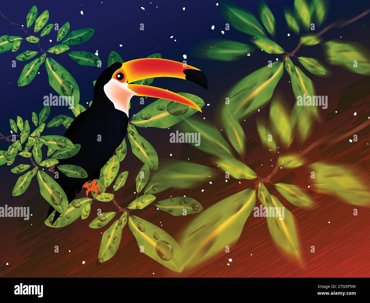 Albero della foresta pluviale tropicale Immagini Vettoriali Stock - Alamy