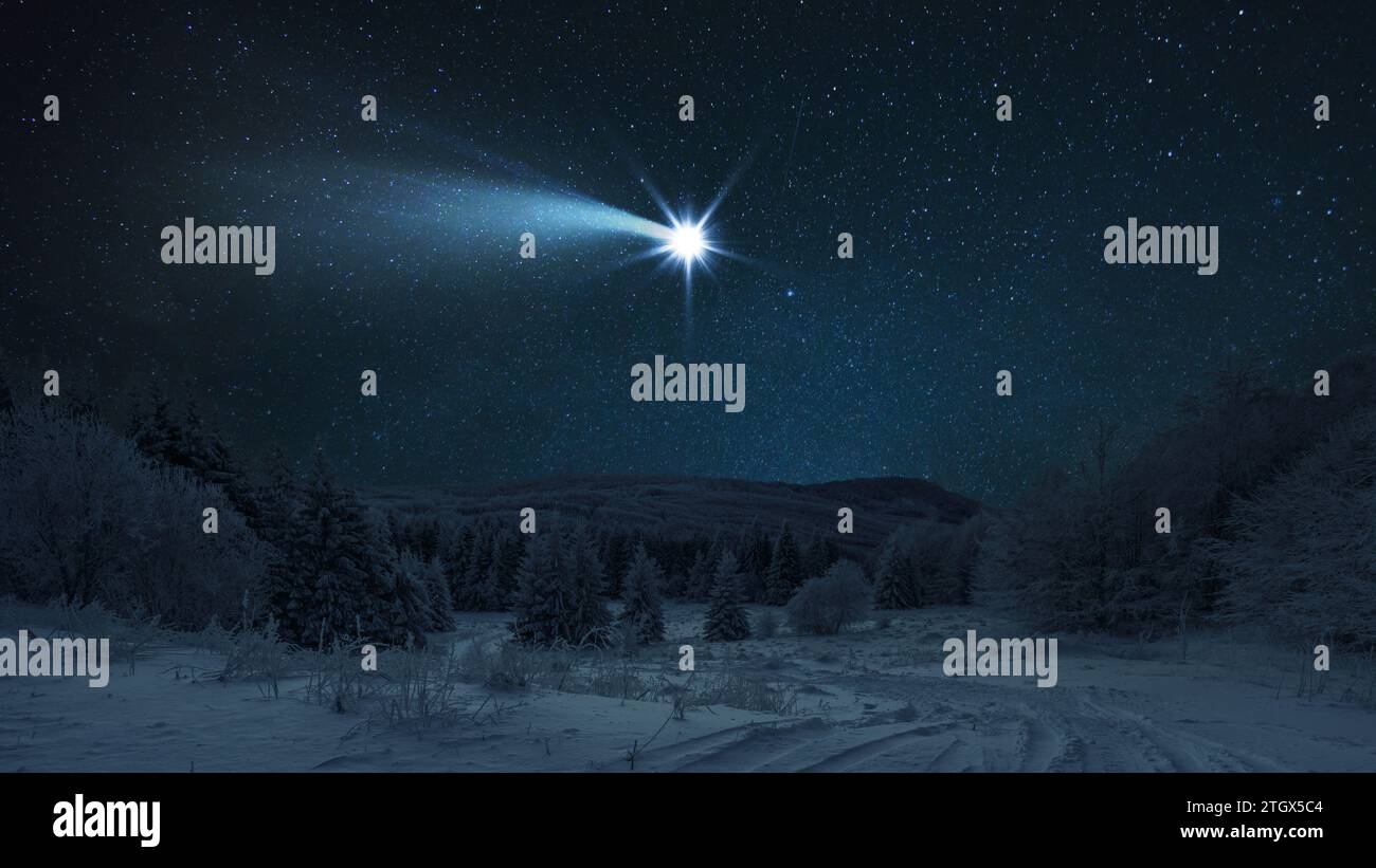 La notte di Natale. La prima stella si è illuminata nella foresta ...