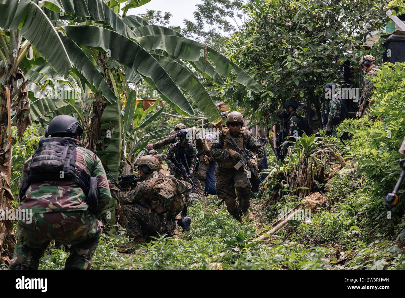 I Marines statunitensi con Marine Rotational Force-Sud-Est asiatico e i marines indonesiani con ...
