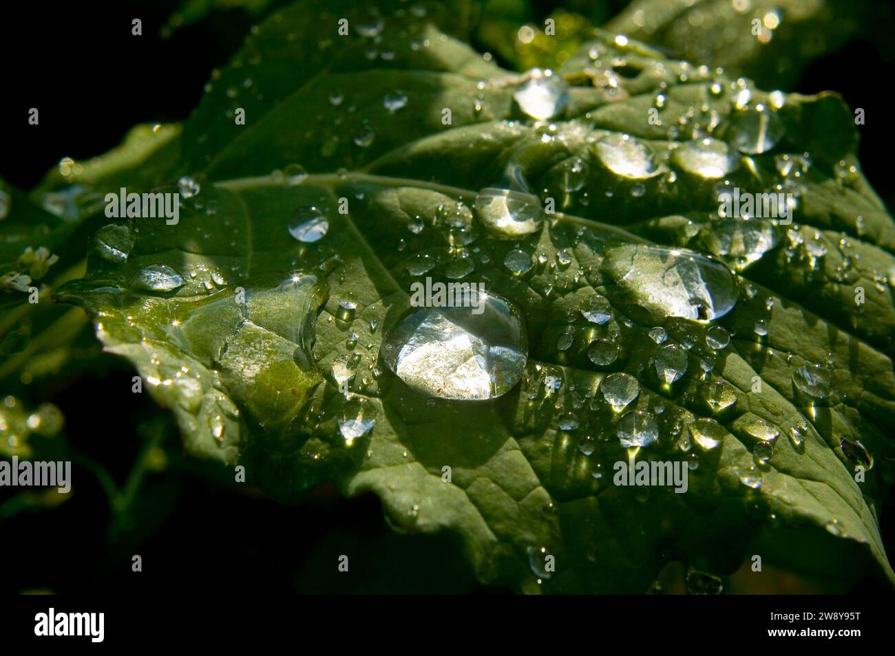 Vapore condensa immagini e fotografie stock ad alta risoluzione - Alamy