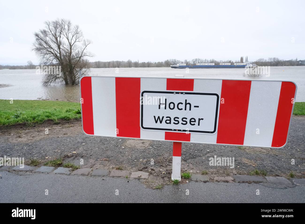 Düsseldorf 25.12.2023 Hochwasser Gewässer Rhein bei Volmerswerth ...