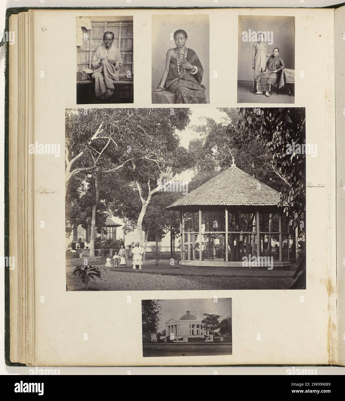 Zoo e ritratti, Woodbury & Page, 1864 - 1866 rivista album fotografico ...