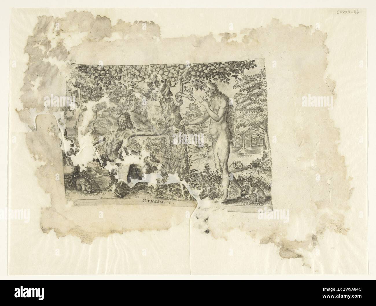 Adam en Eva, anonimo, Philips Galle (rigettata attribuzione), 1570 ...