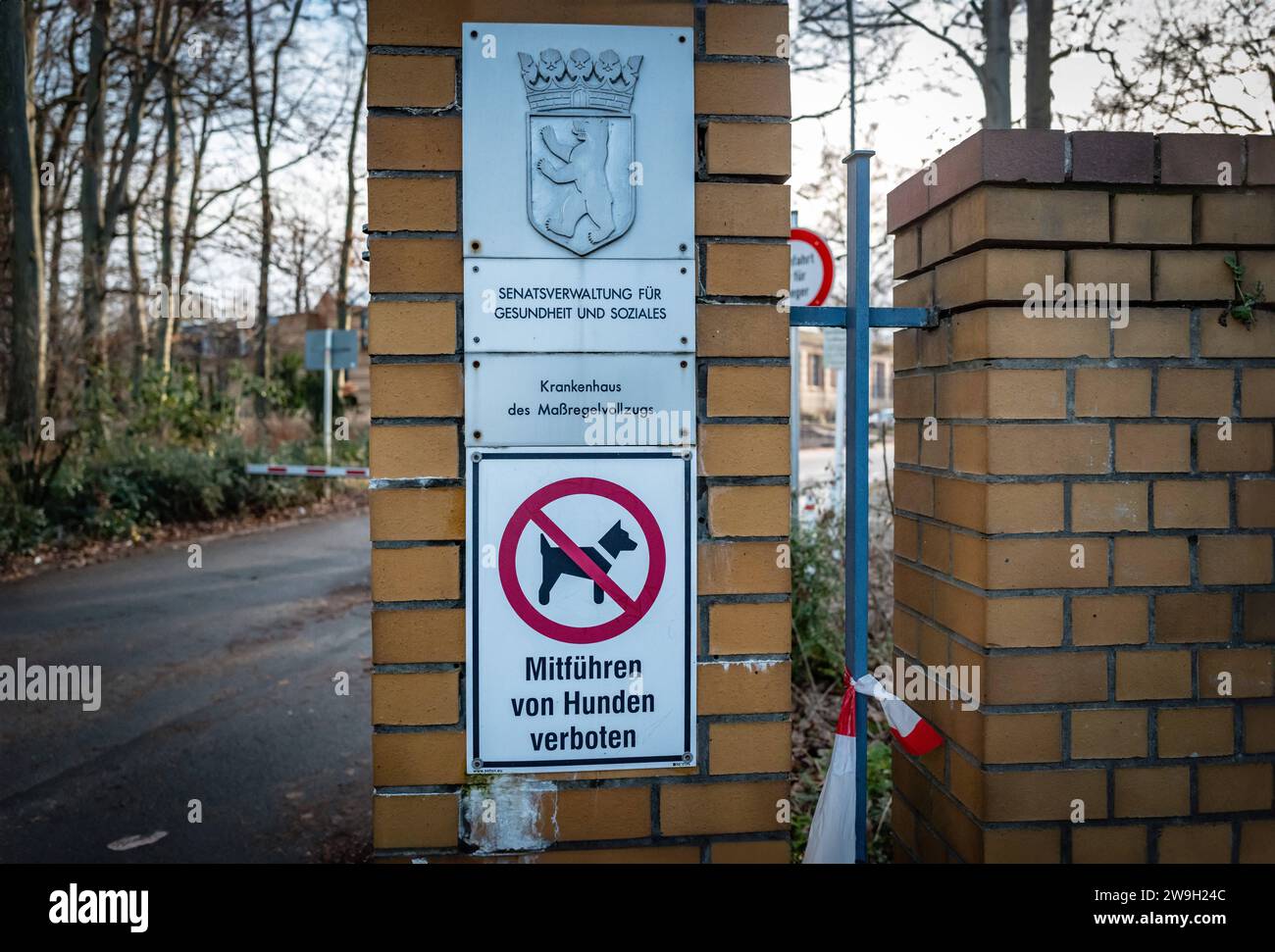 Psychiatrie und forensische psychiatrie immagini e fotografie stock ad ...
