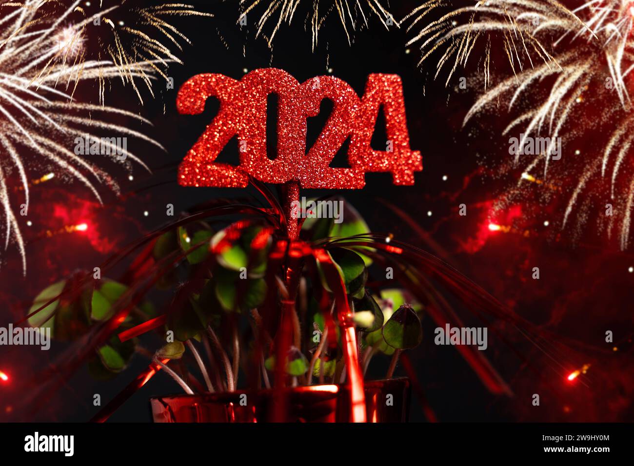 28 dicembre 2023: Concetto di Capodanno e Capodanno 2024, Un fiore con ...