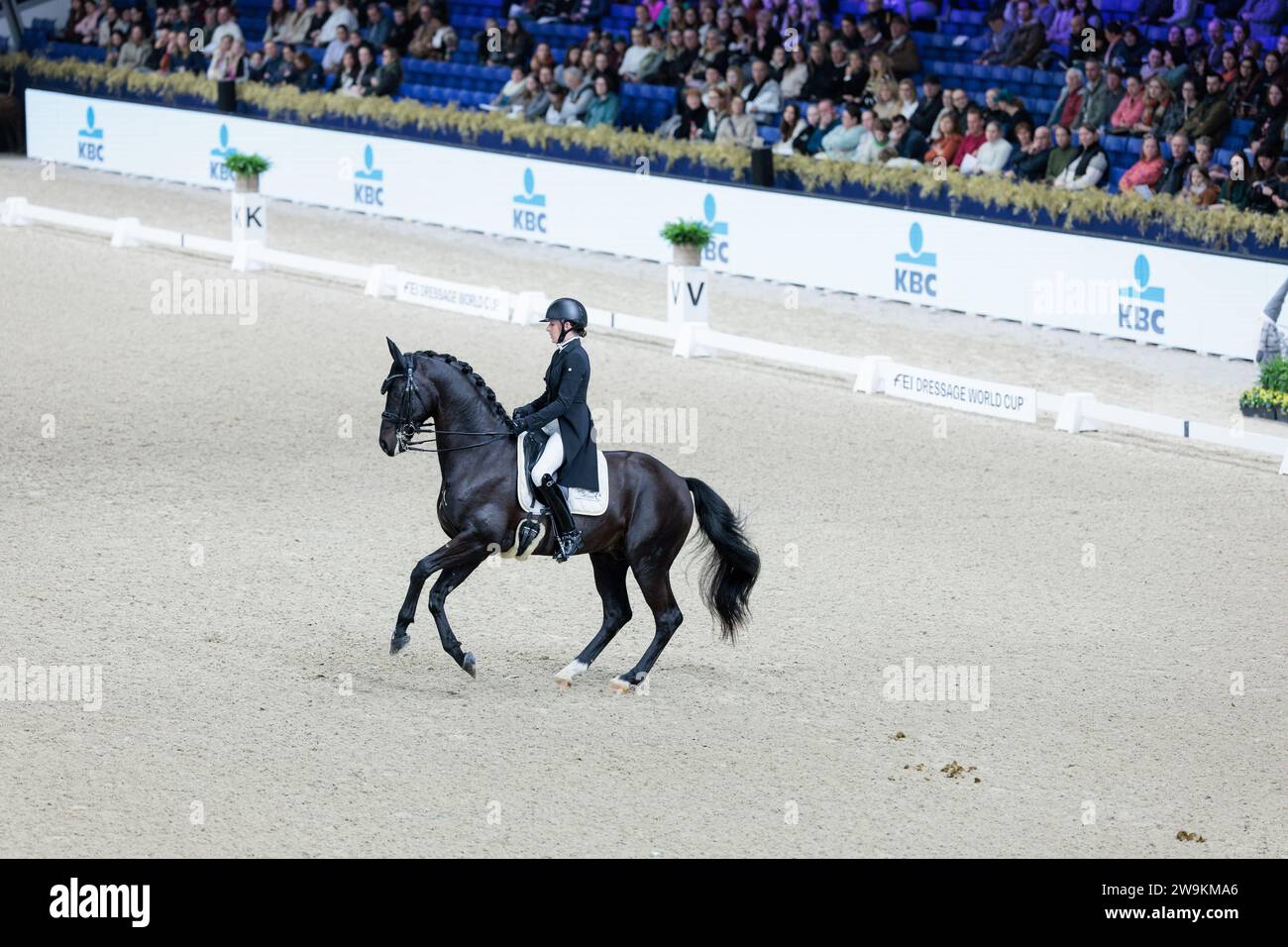 Nekkerhal, Belgio, 28 dicembre 2023, Flore de Winne del Belgio con ...