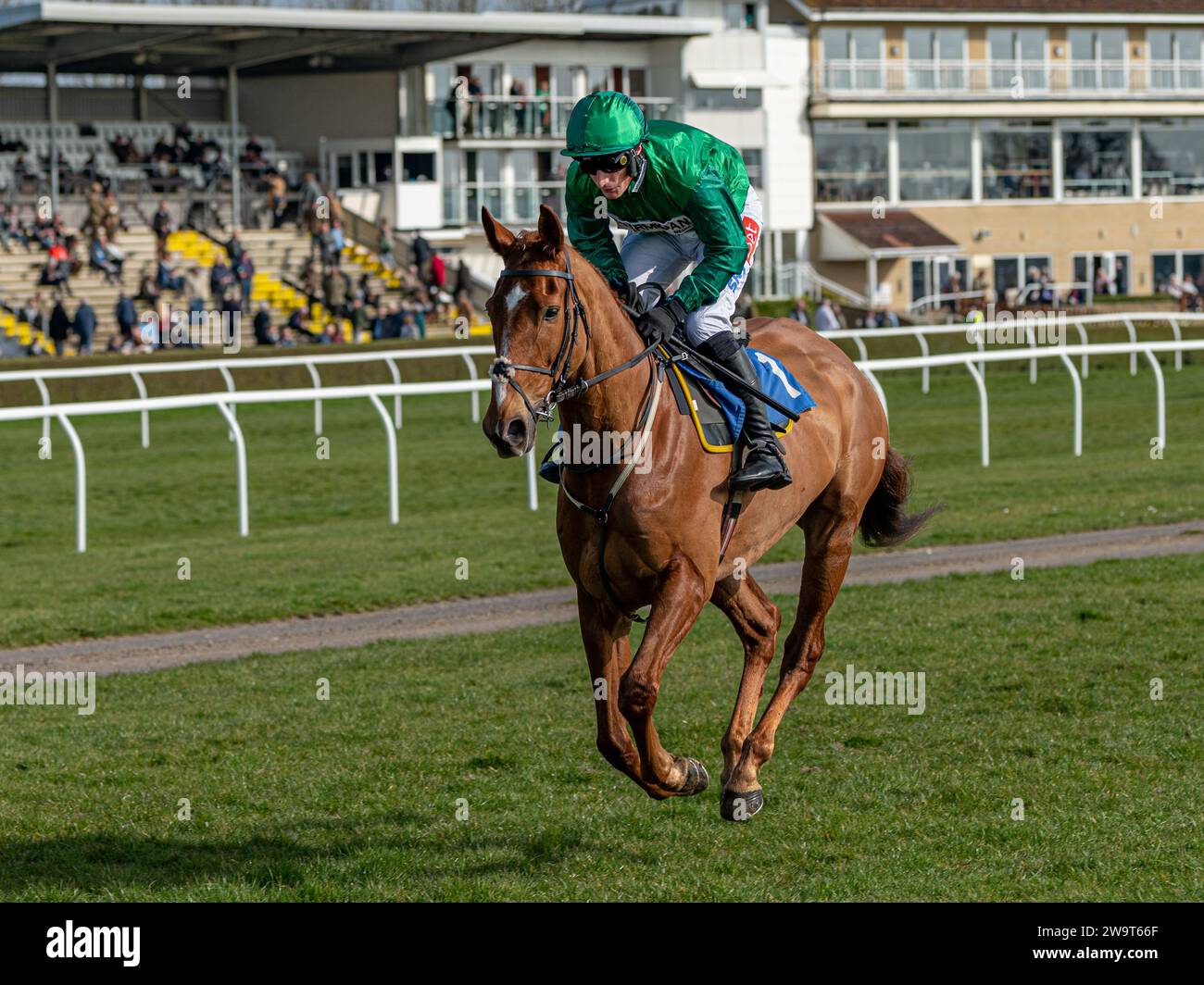 Daryl jacob cavalca torpillo per vincere a wincanton immagini e ...