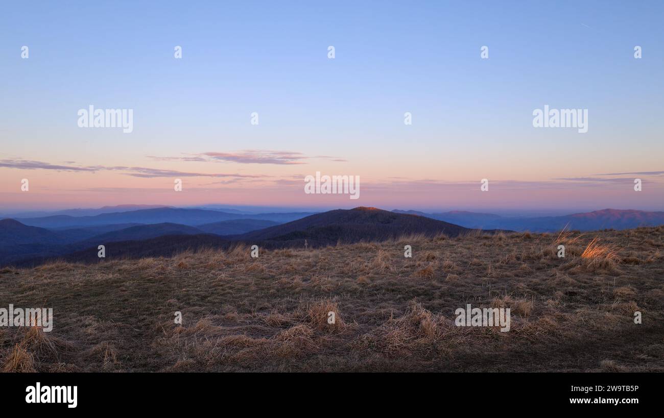 Max patch calvo immagini e fotografie stock ad alta risoluzione - Alamy