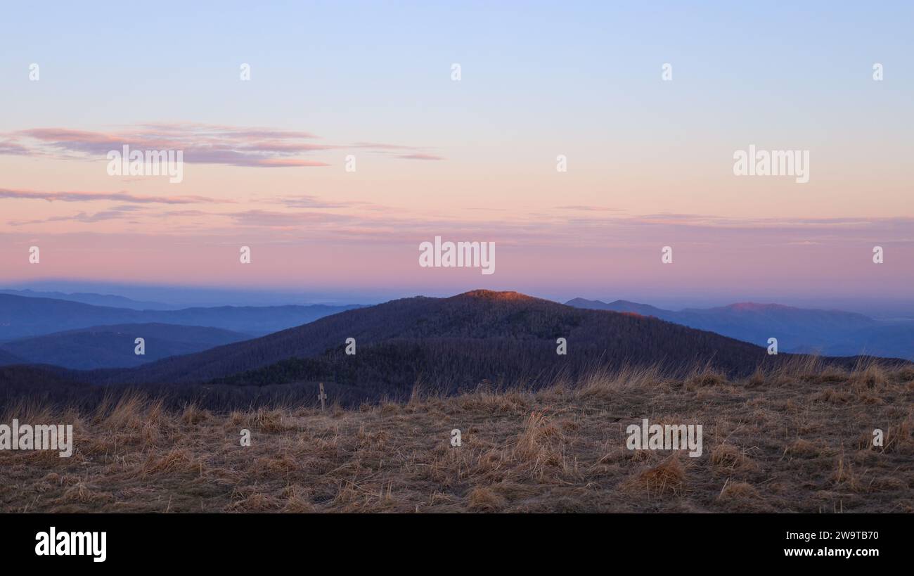Max patch calvo immagini e fotografie stock ad alta risoluzione - Alamy