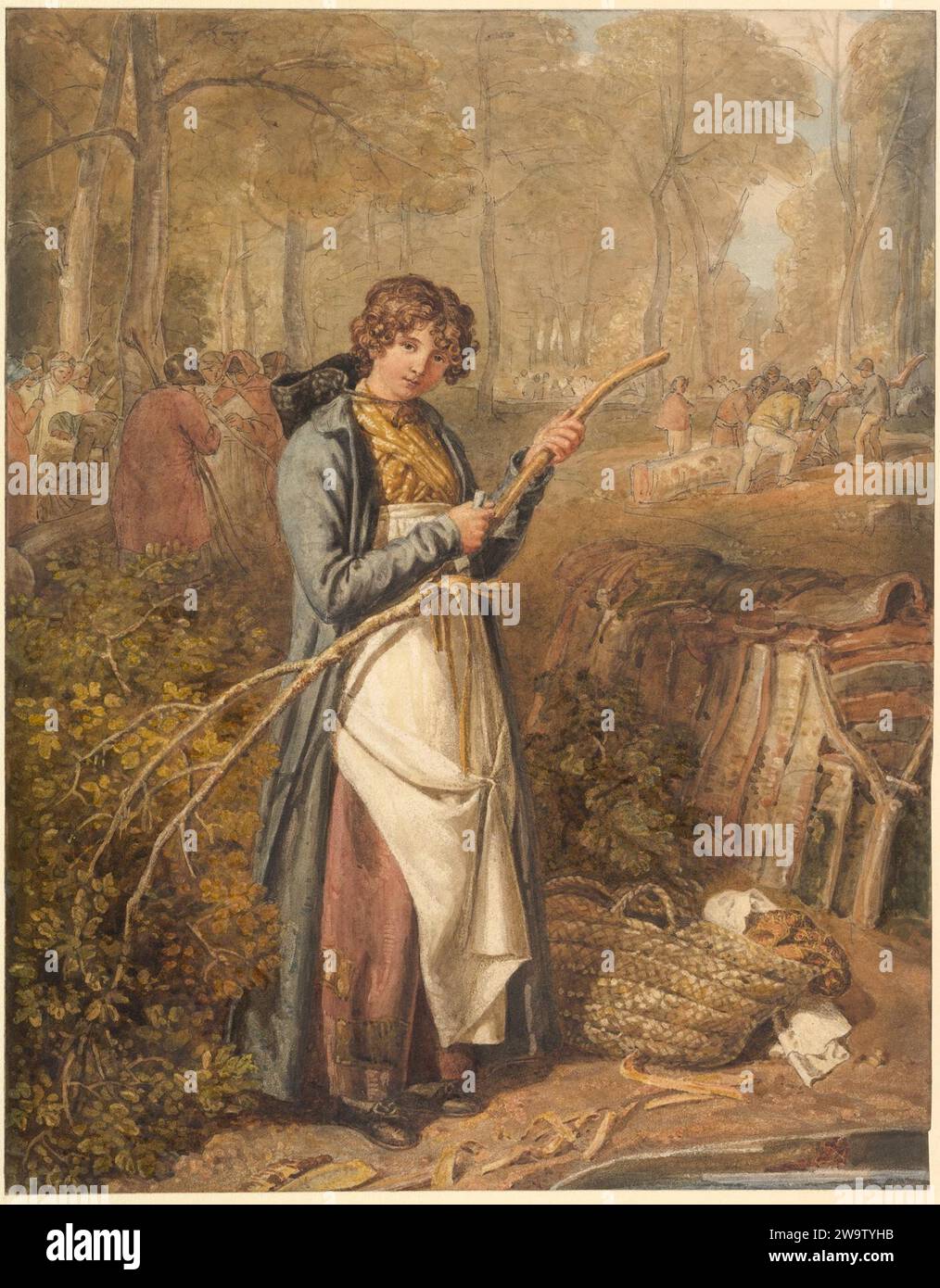 Foresta di wychwood immagini e fotografie stock ad alta risoluzione - Alamy