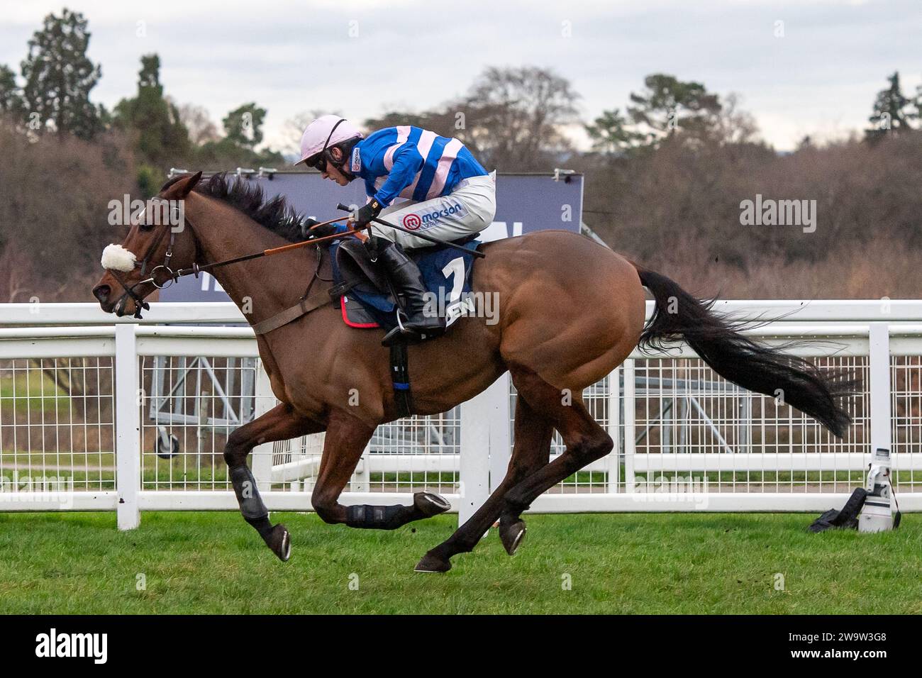 Ascot, Regno Unito. 23 dicembre 2023. Cavallo solo (numero 1) guidato ...