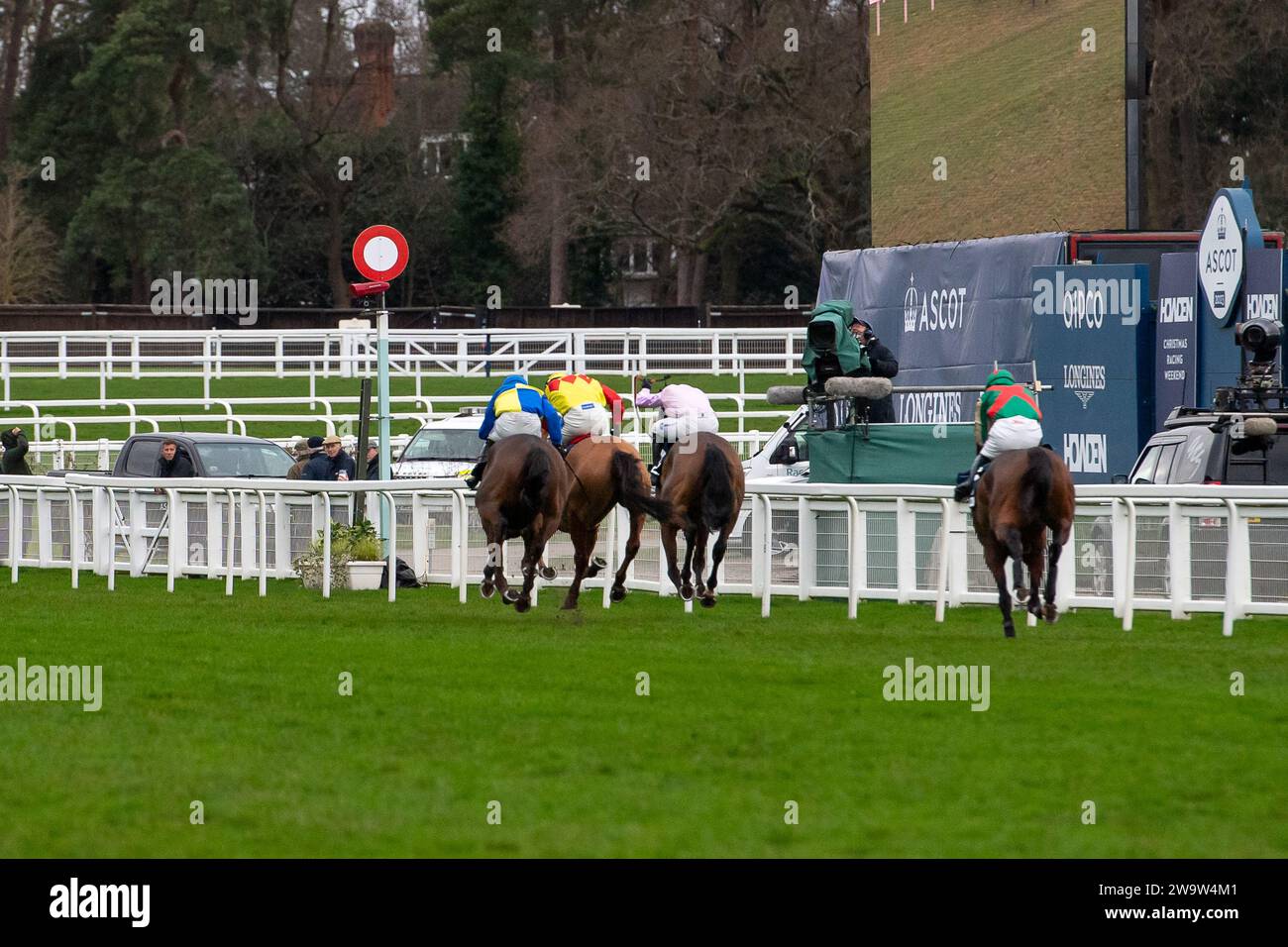 Ascot, Regno Unito. 23 dicembre 2023. Horse Harper's Brooke (IRE ...