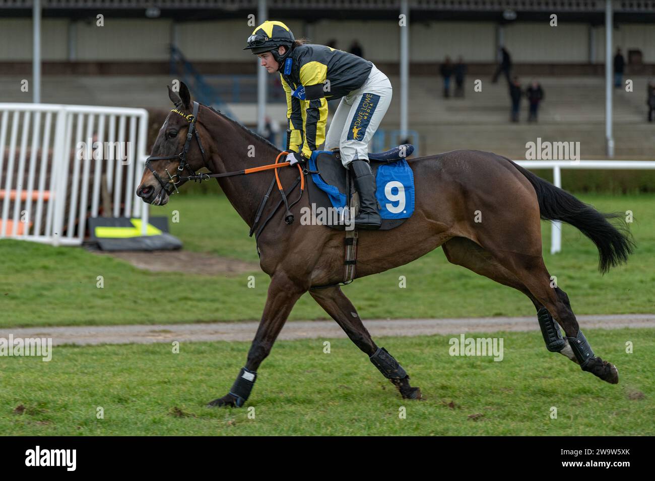 Qualificazione della serie herring queen immagini e fotografie stock ad ...