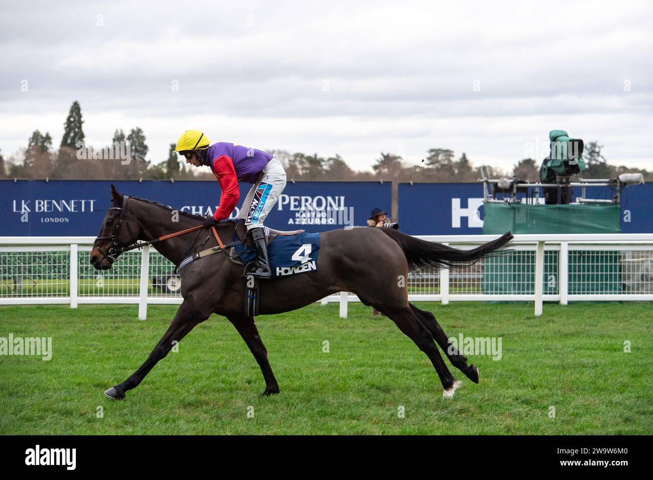 Ascot, Regno Unito. 23 dicembre 2023. Il cavallo Dashel Drasher ...