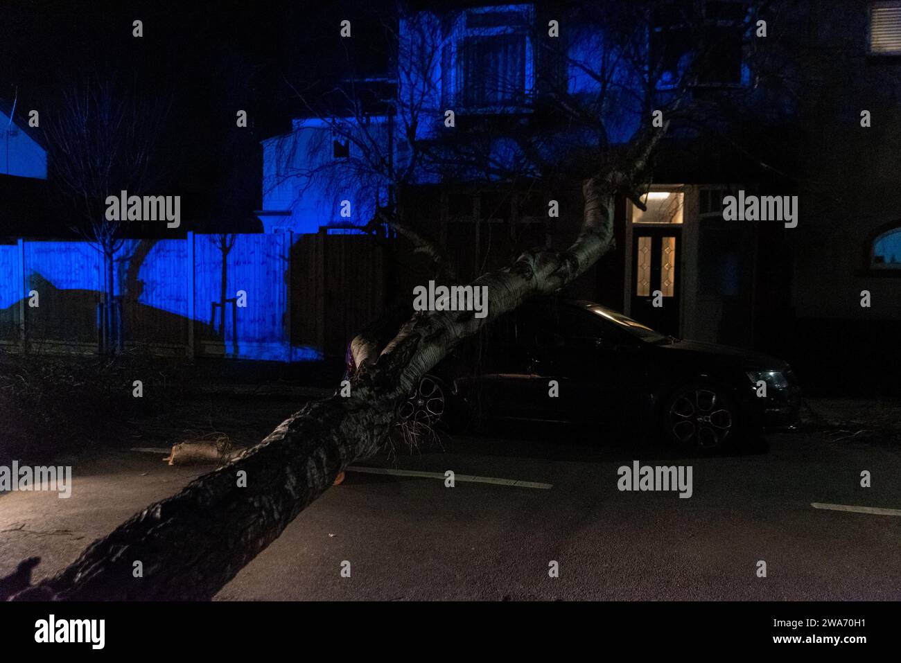 Beedell Avenue, Westcliff on Sea, Essex, Regno Unito. 2 gennaio 2024. I ...