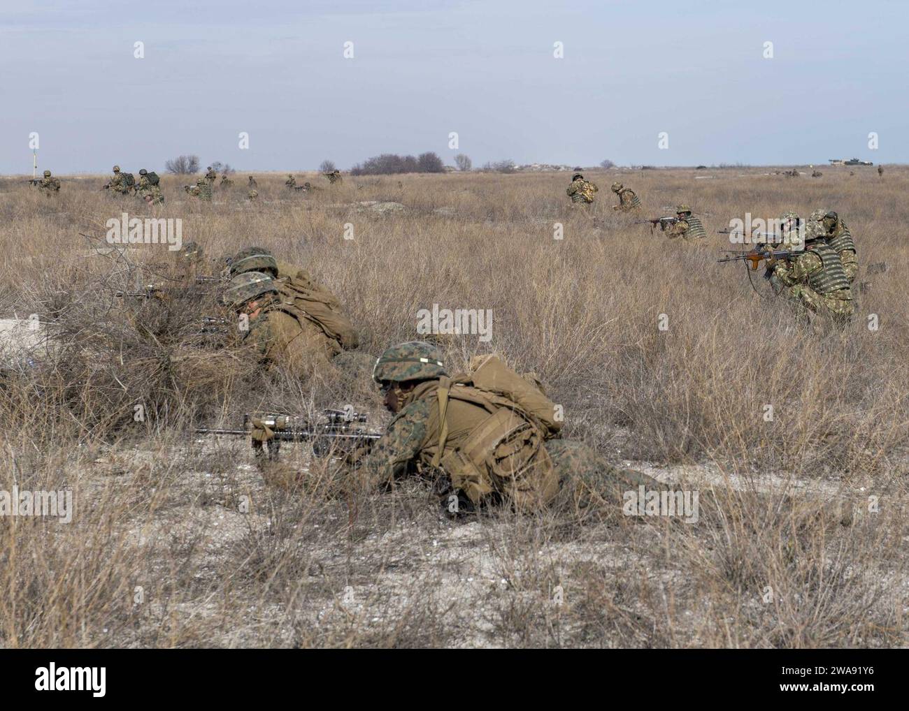 Forze militari STATUNITENSI. 180312PC620-0382 AREA DI ADDESTRAMENTO ...