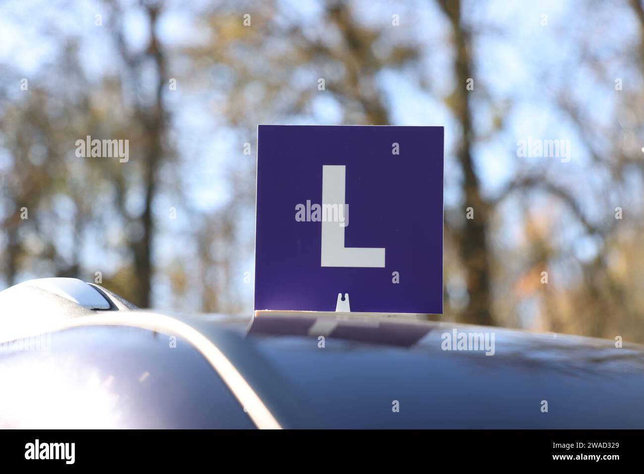 Scuola guida auto segno sul tetto immagini e fotografie stock ad alta ...