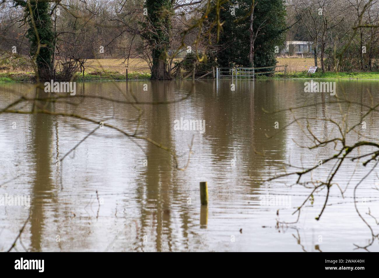 Lower Shiplake, Oxfordshire, Regno Unito. 5 gennaio 2024. Le acque ...
