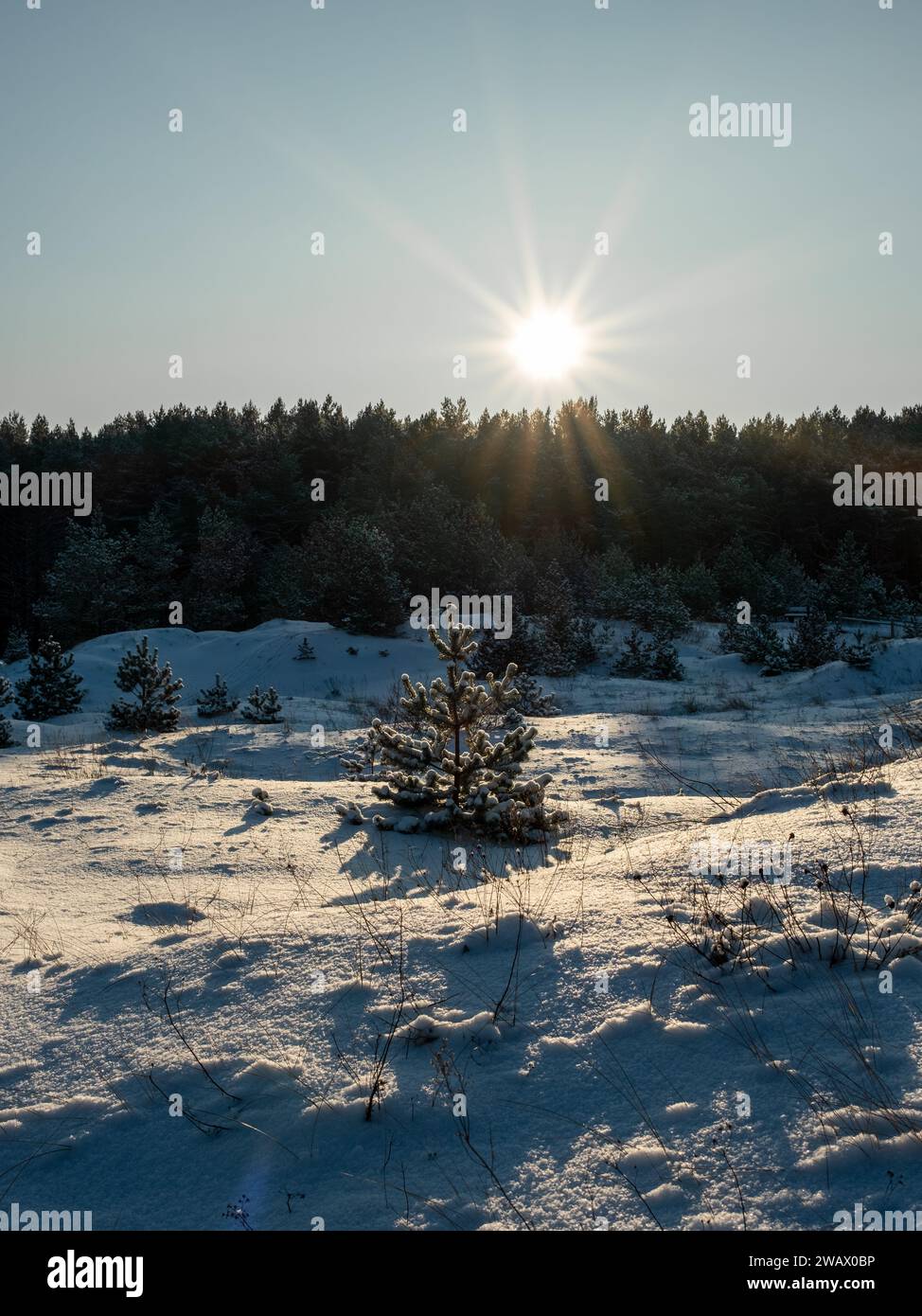 In mezzo all'abbraccio invernale, la spiaggia diventa la tela di un ...