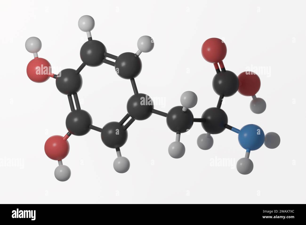 Modelo de un compuesto del carbono immagini e fotografie stock ad alta ...