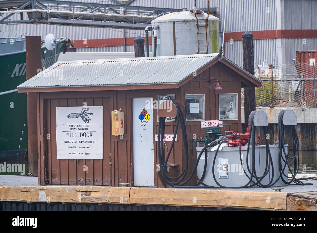 Il Monterey Bay Canyon è un parco giochi per creature oceaniche ...