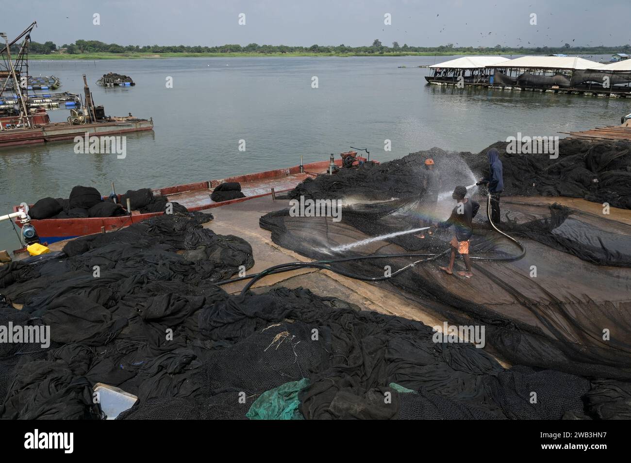 GHANA, Asutsuare, fiume volta, allevamento ittico Tilapia della società ...