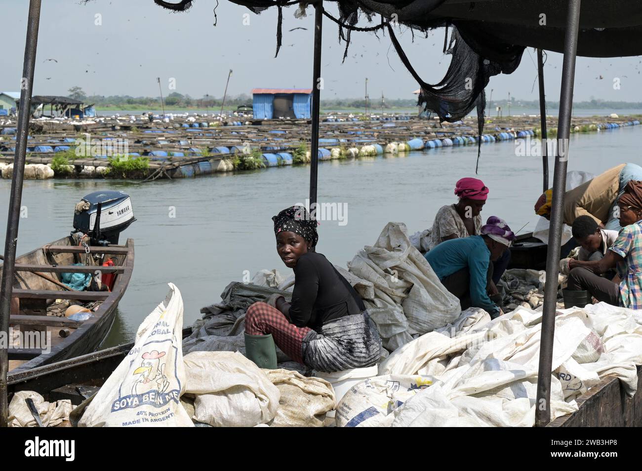 GHANA, Asutsuare, fiume volta, allevamento ittico Tilapia della società ...