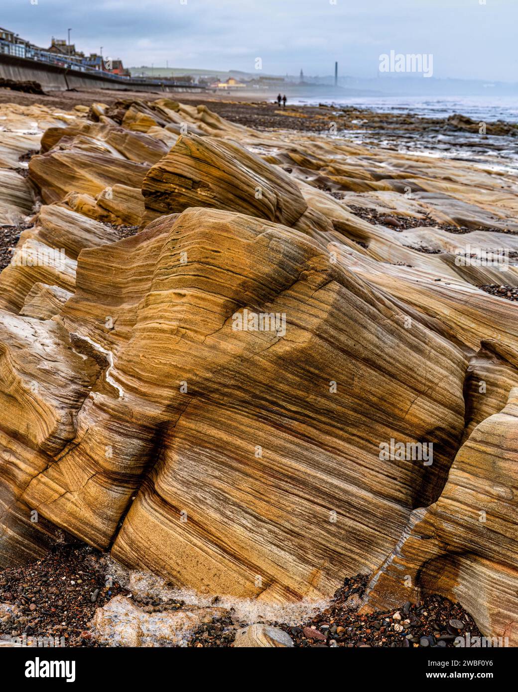 Schemi visivi immagini e fotografie stock ad alta risoluzione - Alamy