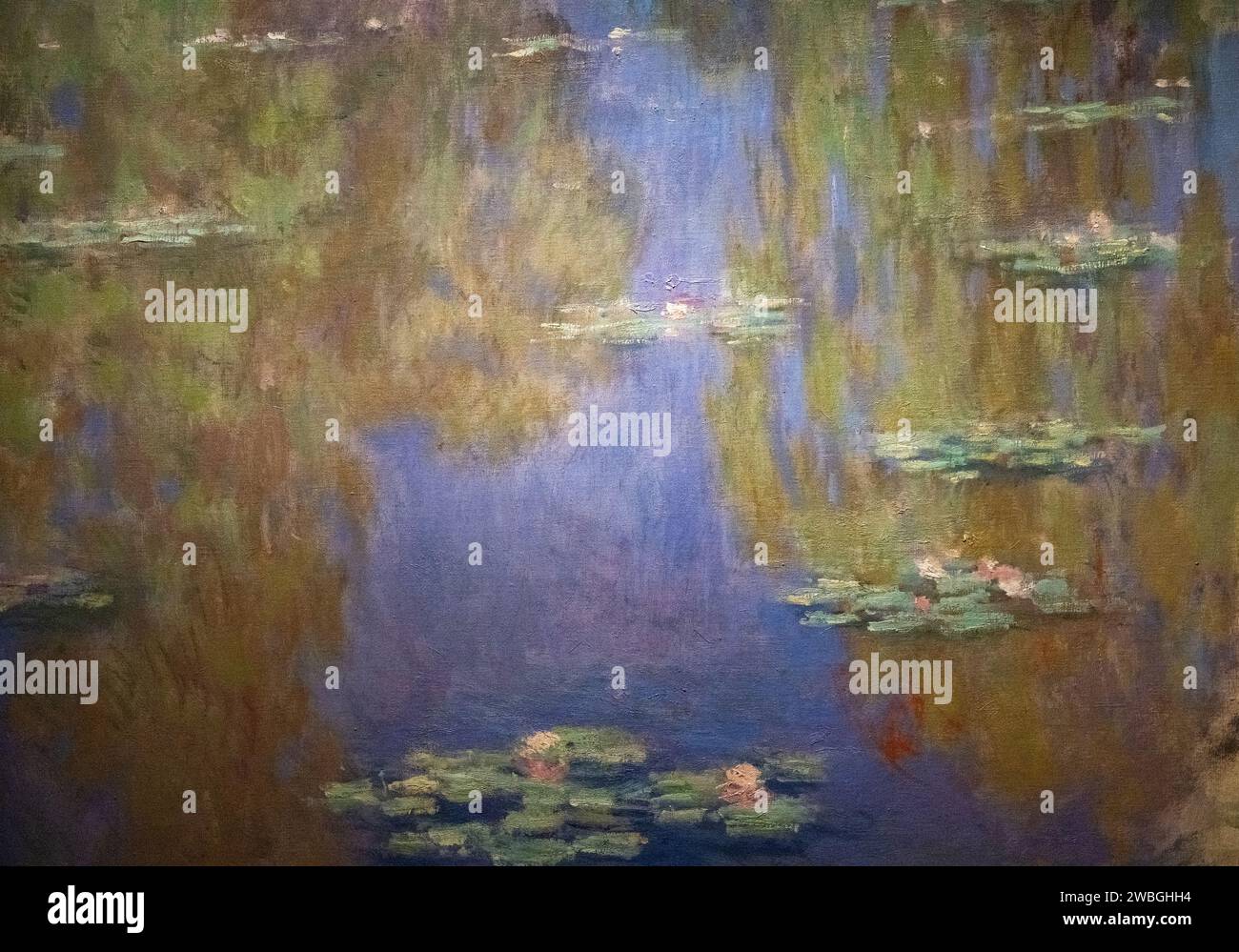 Water lilies by claude monet immagini e fotografie stock ad alta ...