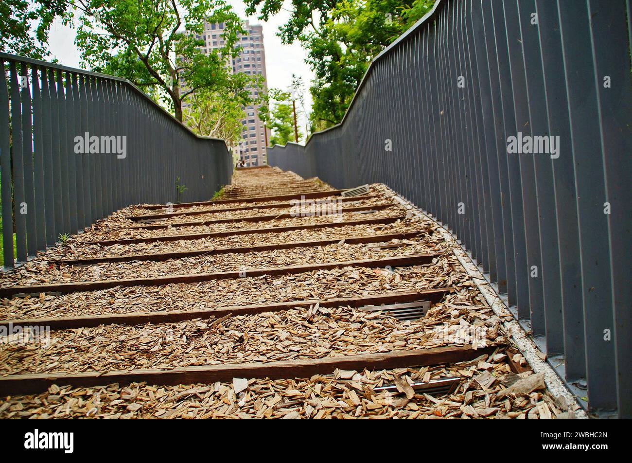 Lunghe scale in legno immagini e fotografie stock ad alta risoluzione ...