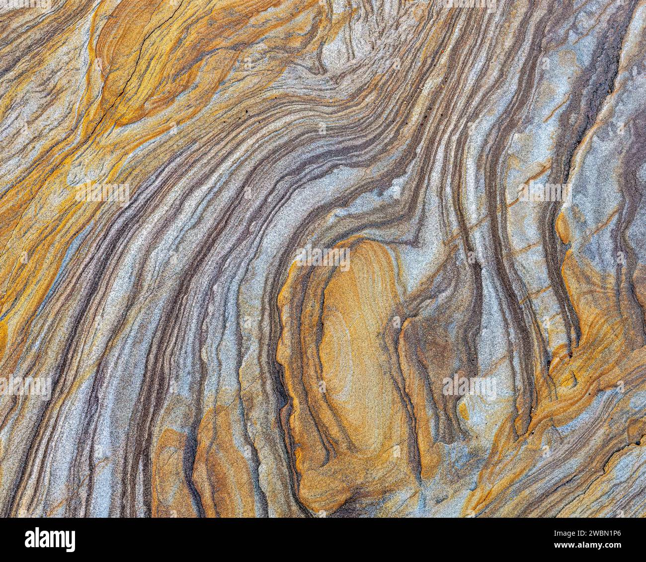 Schemi visivi immagini e fotografie stock ad alta risoluzione - Alamy