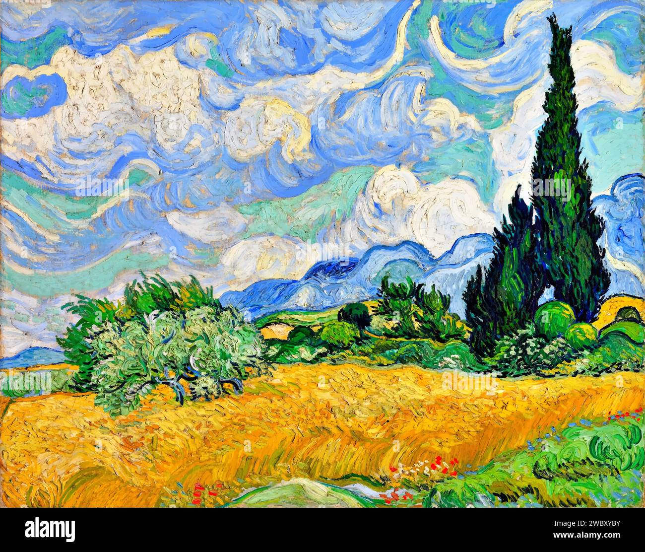 Campo di grano con cipressi van gogh Immagini Vettoriali Stock - Alamy
