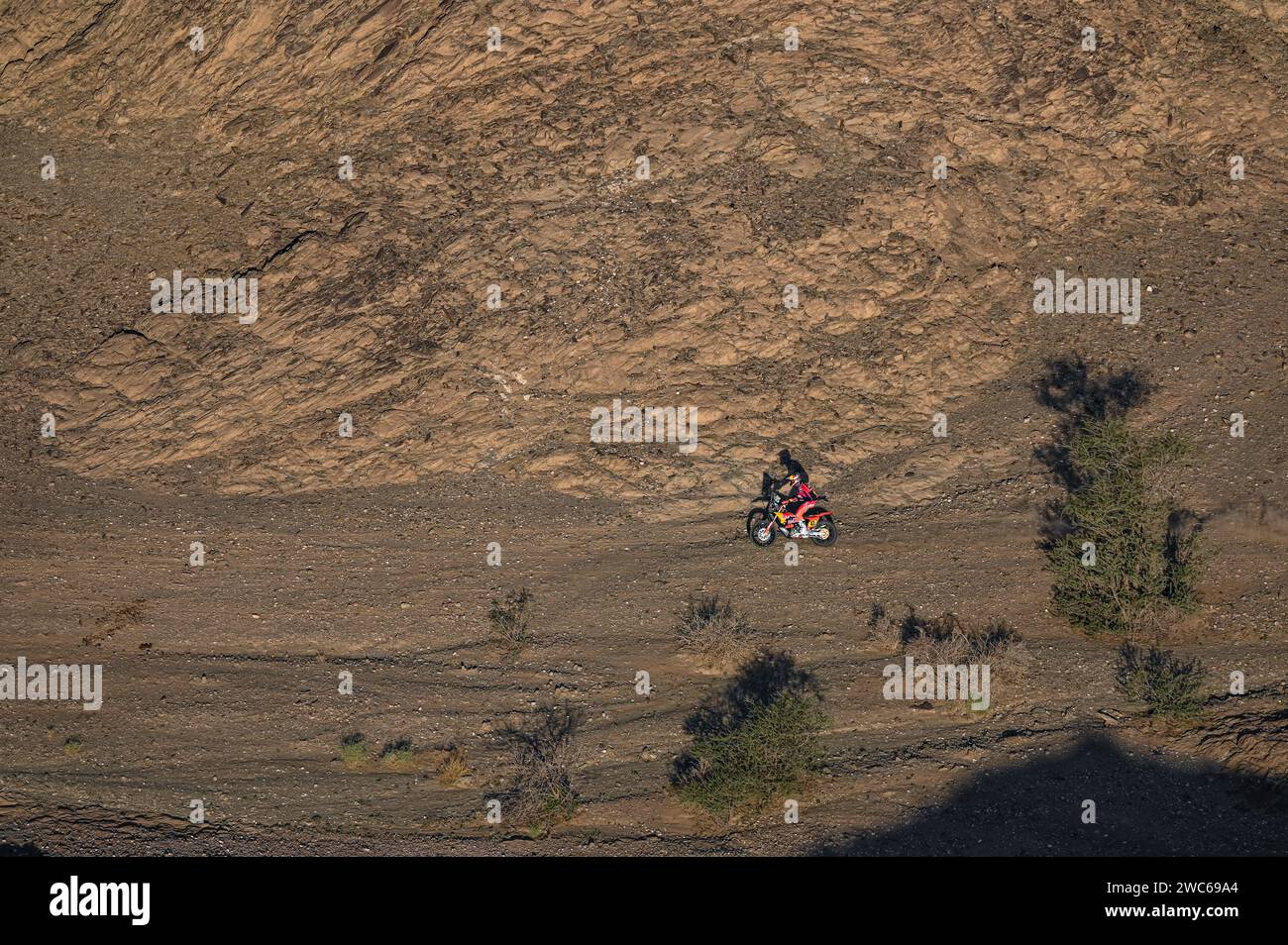 47 BENAVIDES Kevin (arg), Red Bull KTM Factory Racing, KTM, Moto ...
