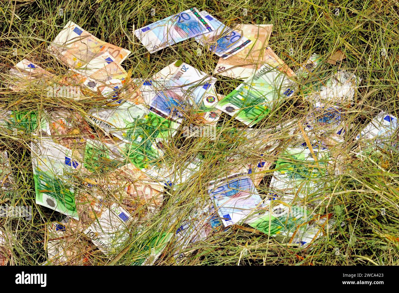 Geld liegt im Heu, Symbolfoto Agrarsubventionen, 2024 Deutschland, 2024 ...