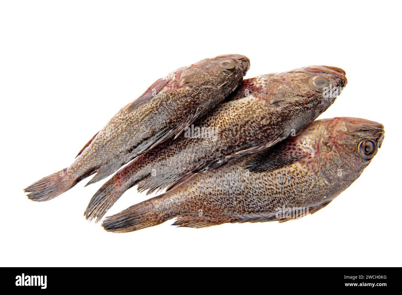 Prezzi della carne Immagini senza sfondo e Foto Stock ritagliate - Alamy