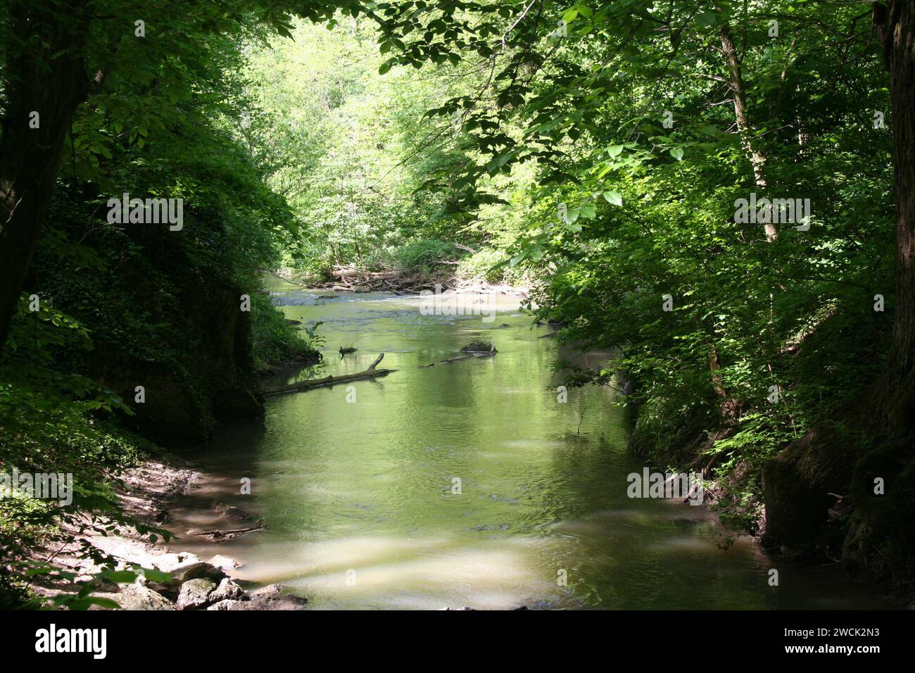 Bakony mountain immagini e fotografie stock ad alta risoluzione - Alamy