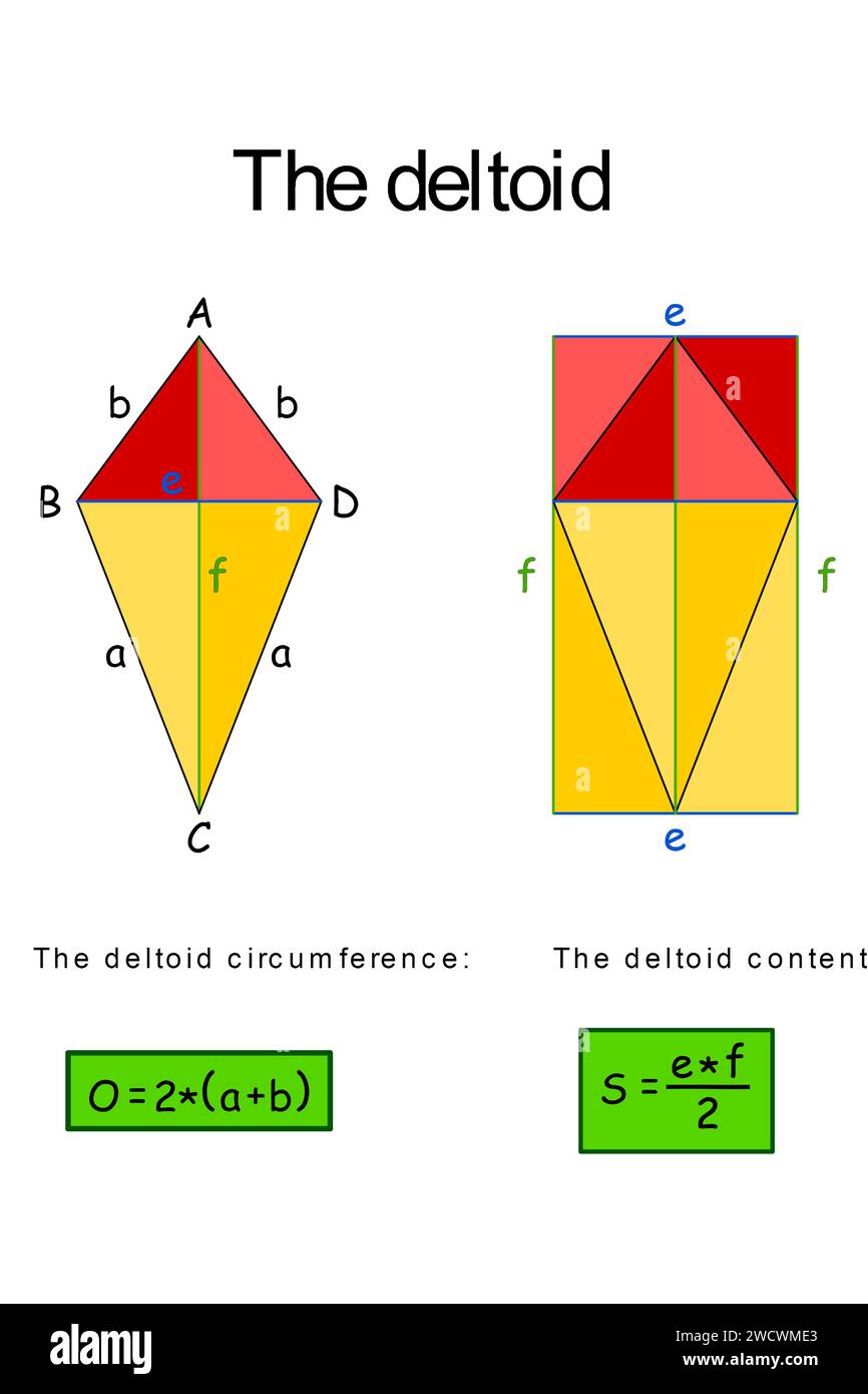 Imparare la matematica Immagini Vettoriali Stock - Alamy