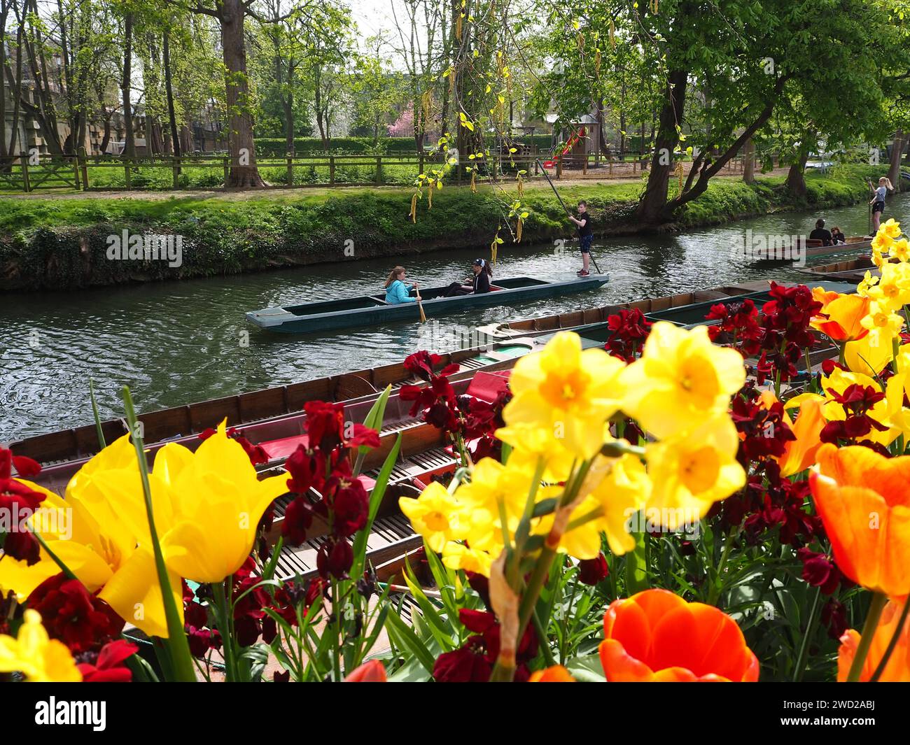 Trasporto a oxford immagini e fotografie stock ad alta risoluzione - Alamy