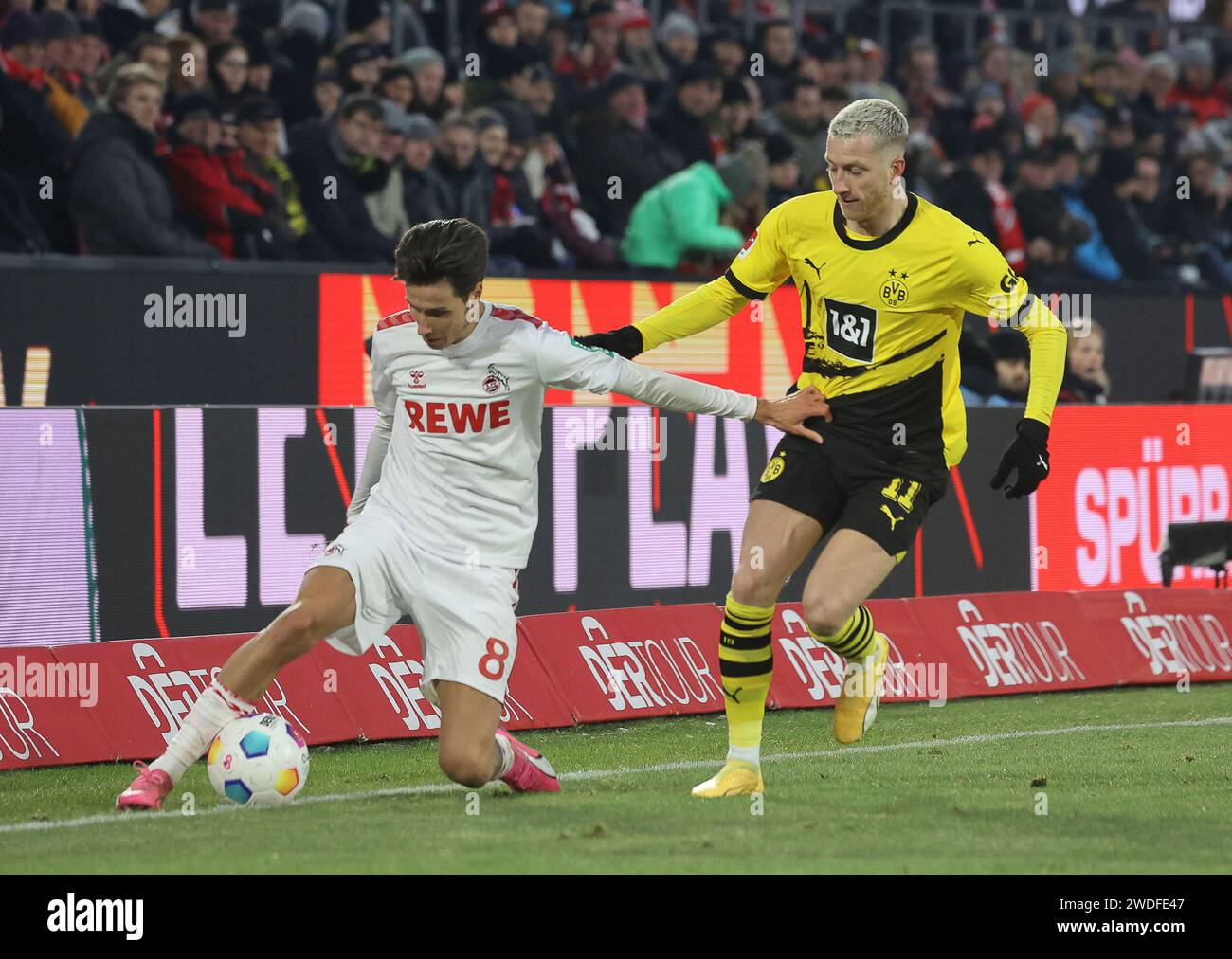 Koeln, Germania. 20 gennaio 2024. Denis Huseinbasic (1. FC Koeln n. 8), Marco Reus (Dortmund n ...