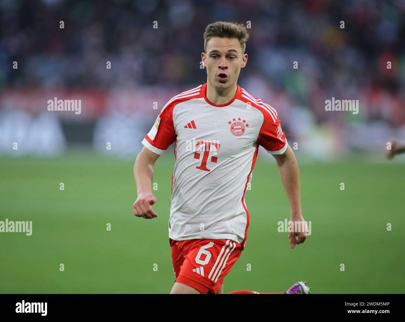 München, Deutschland 21. Gennaio 2024: Fussball, Herren, Bundesliga ...