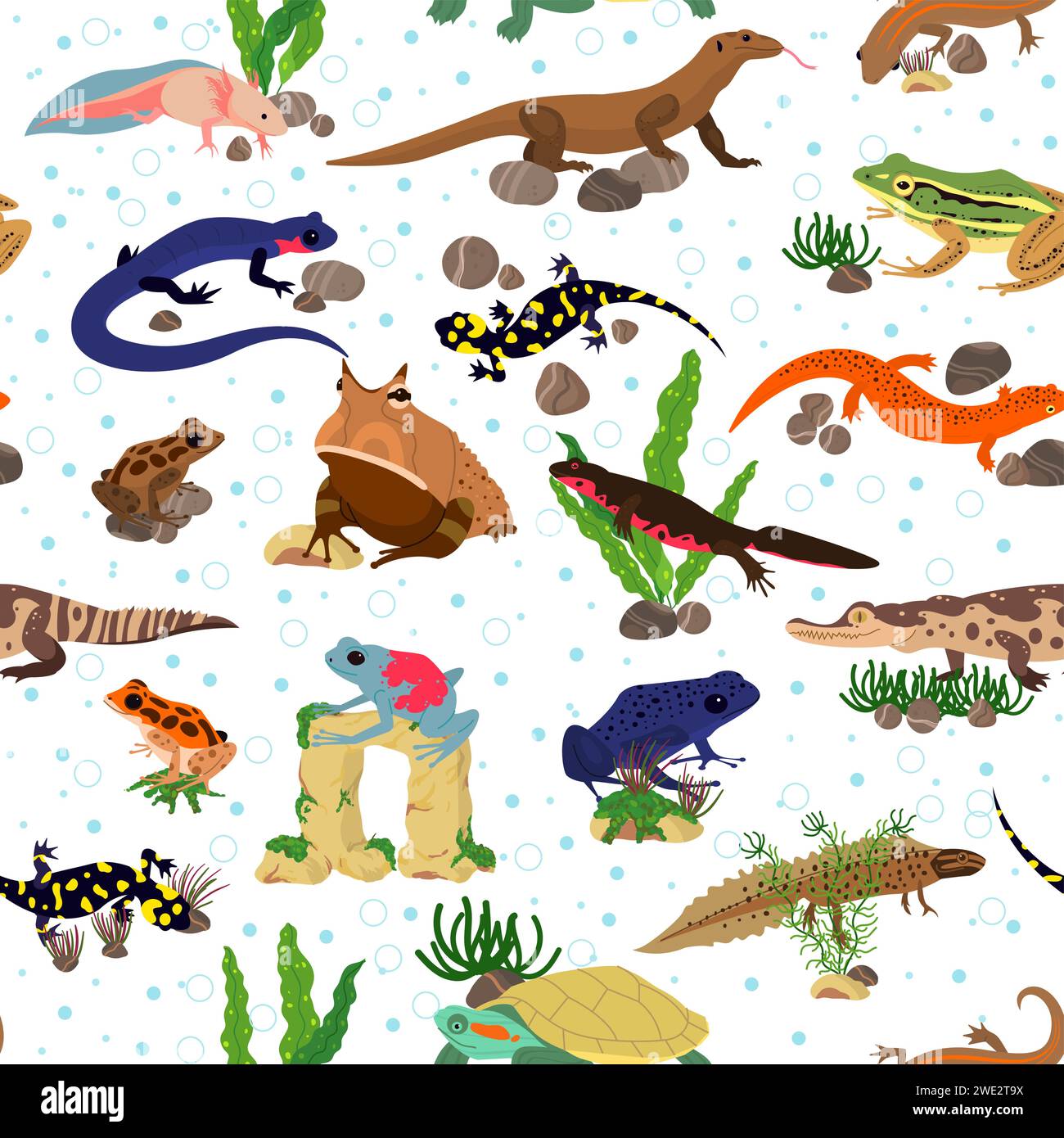 Amphibious frogs Immagini Vettoriali Stock - Alamy