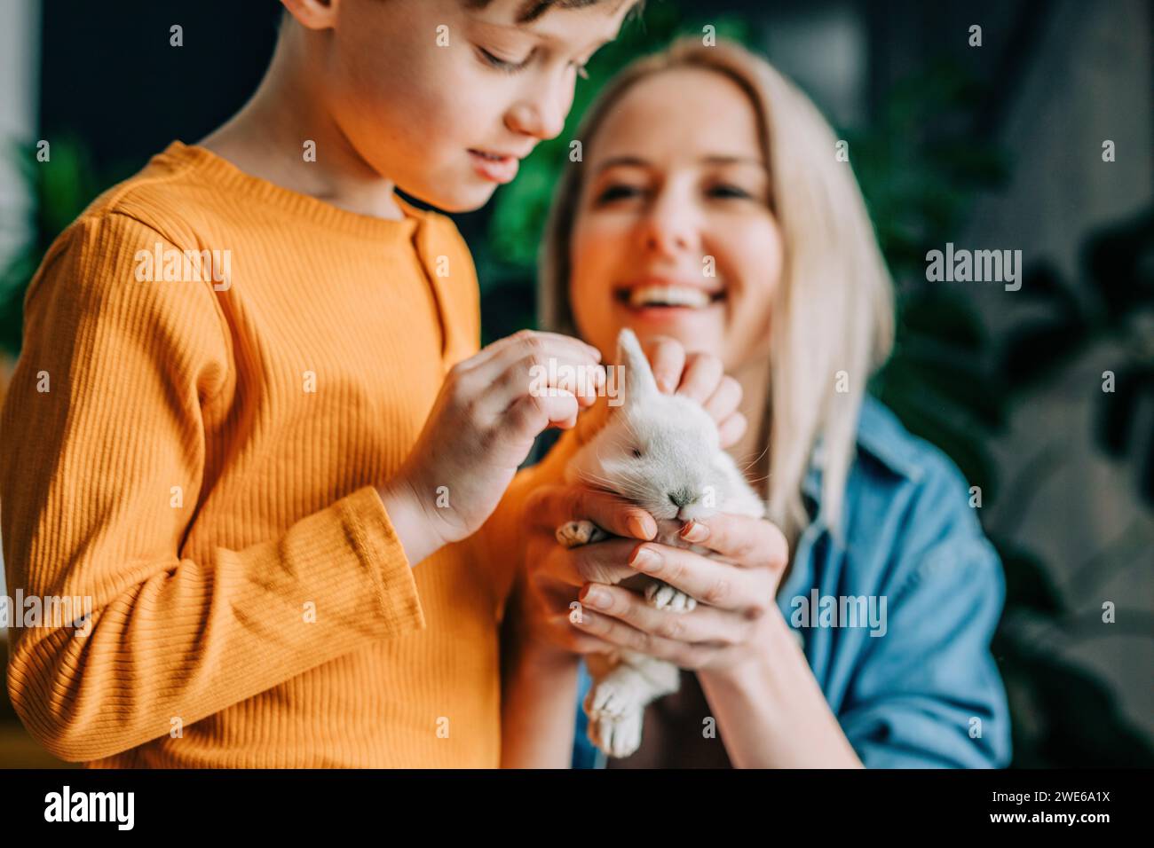Animali che giocano a pasqua immagini e fotografie stock ad alta risoluzione - Alamy