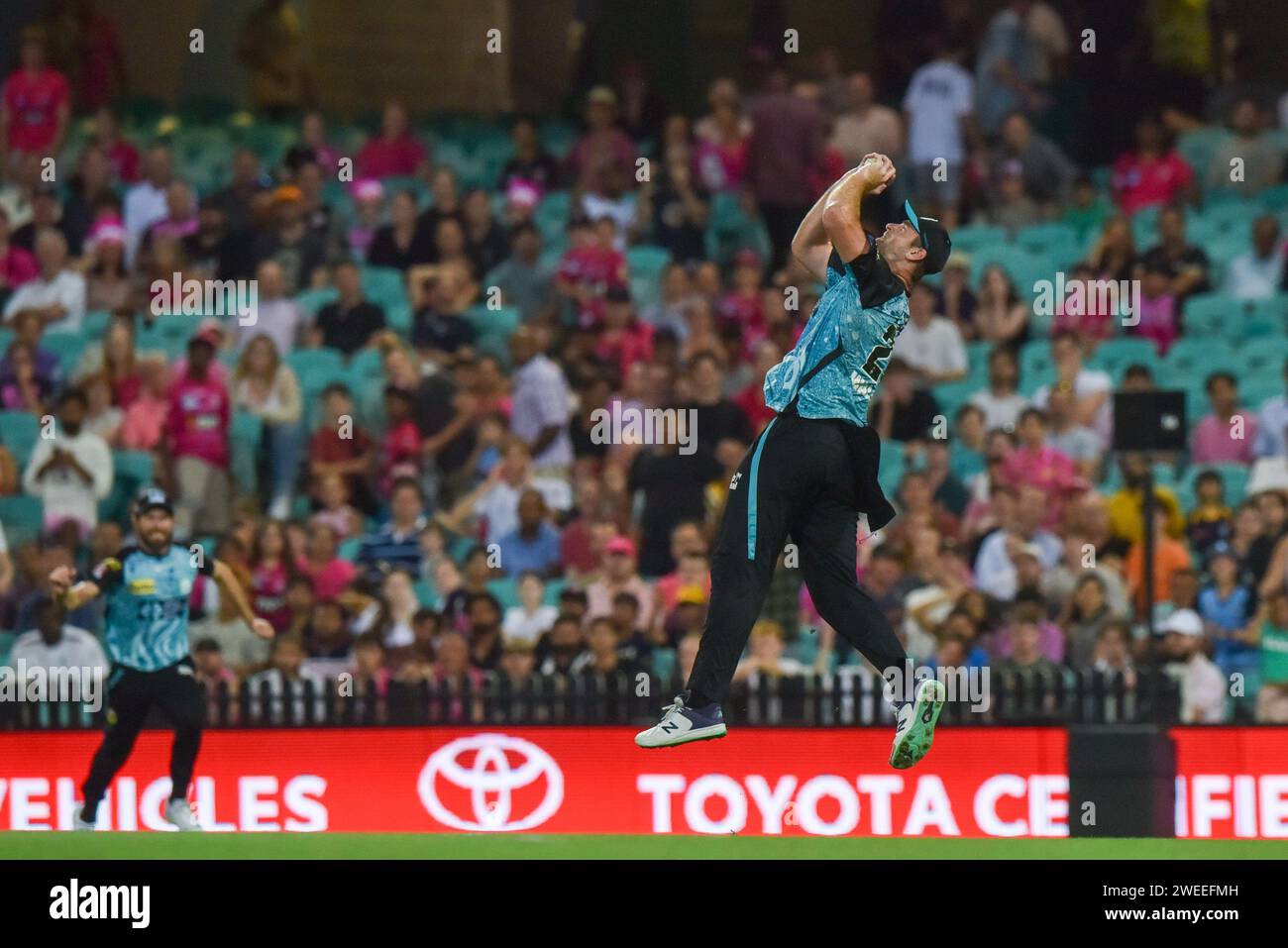 Paul Walter dei Brisbane Heat visto in azione durante la grande finale ...