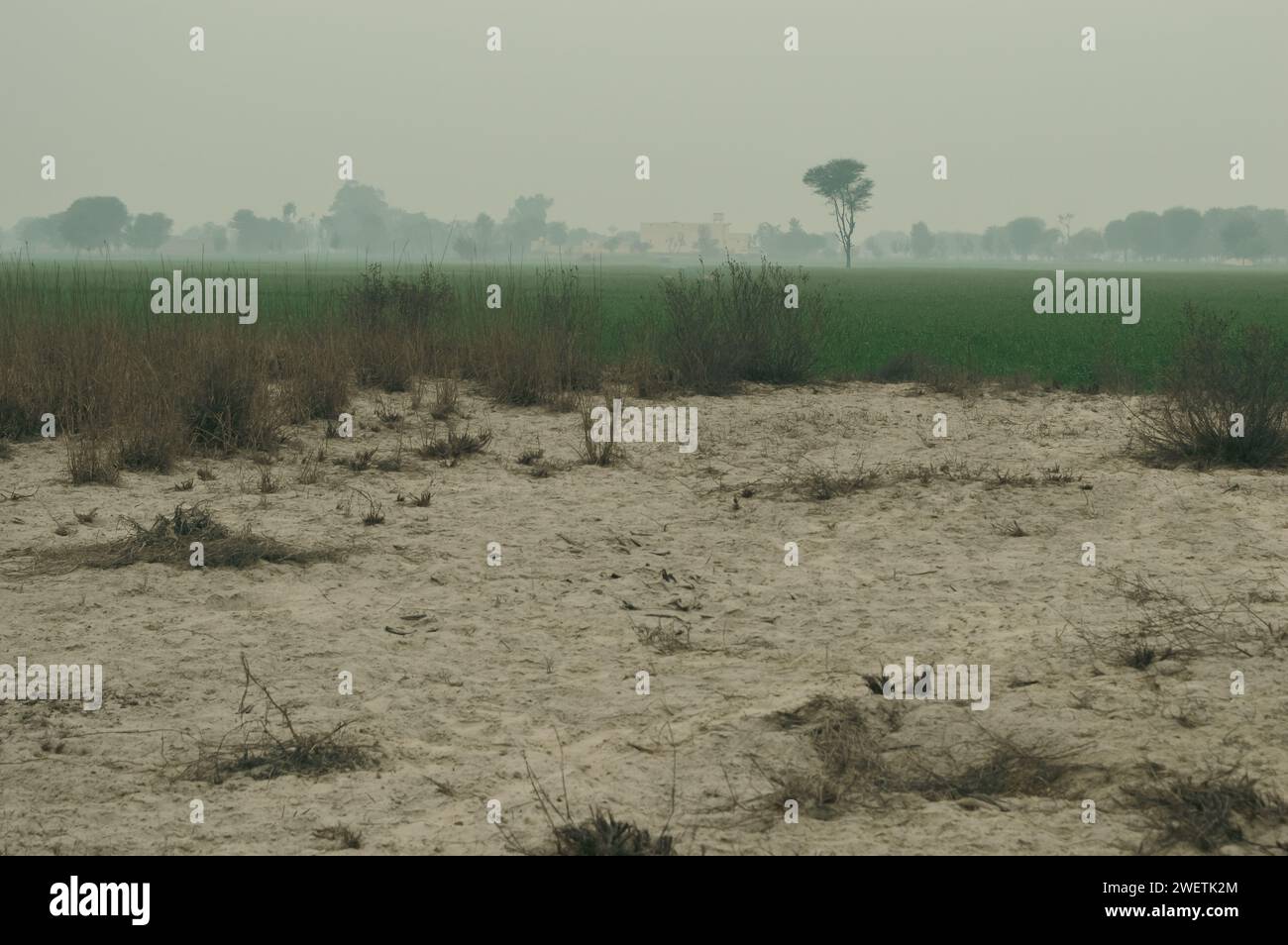 Villaggio del punjab pakistan immagini e fotografie stock ad alta ...