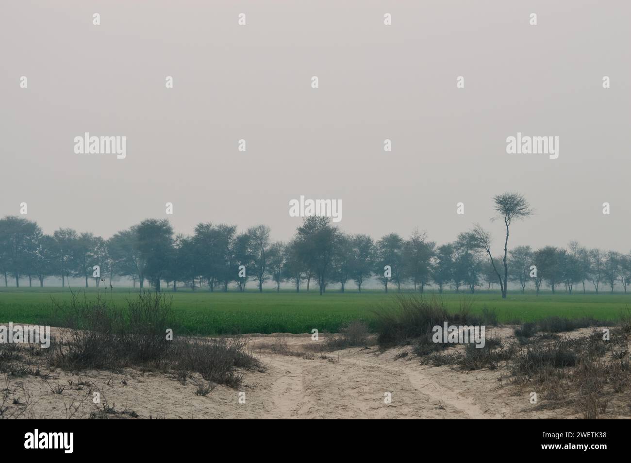 Villaggio del punjab pakistan immagini e fotografie stock ad alta ...