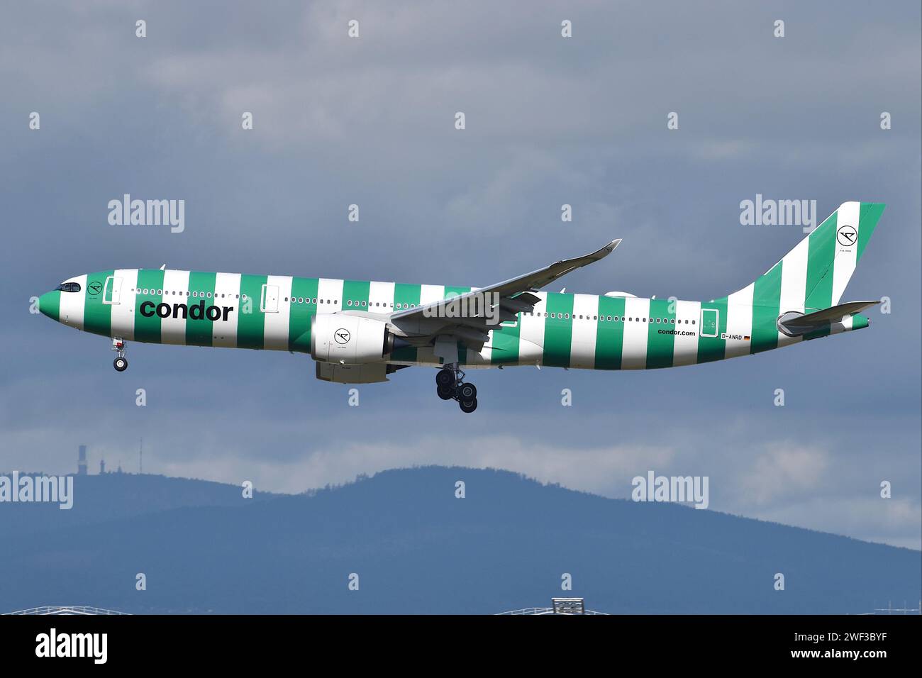 Classe condor immagini e fotografie stock ad alta risoluzione - Alamy
